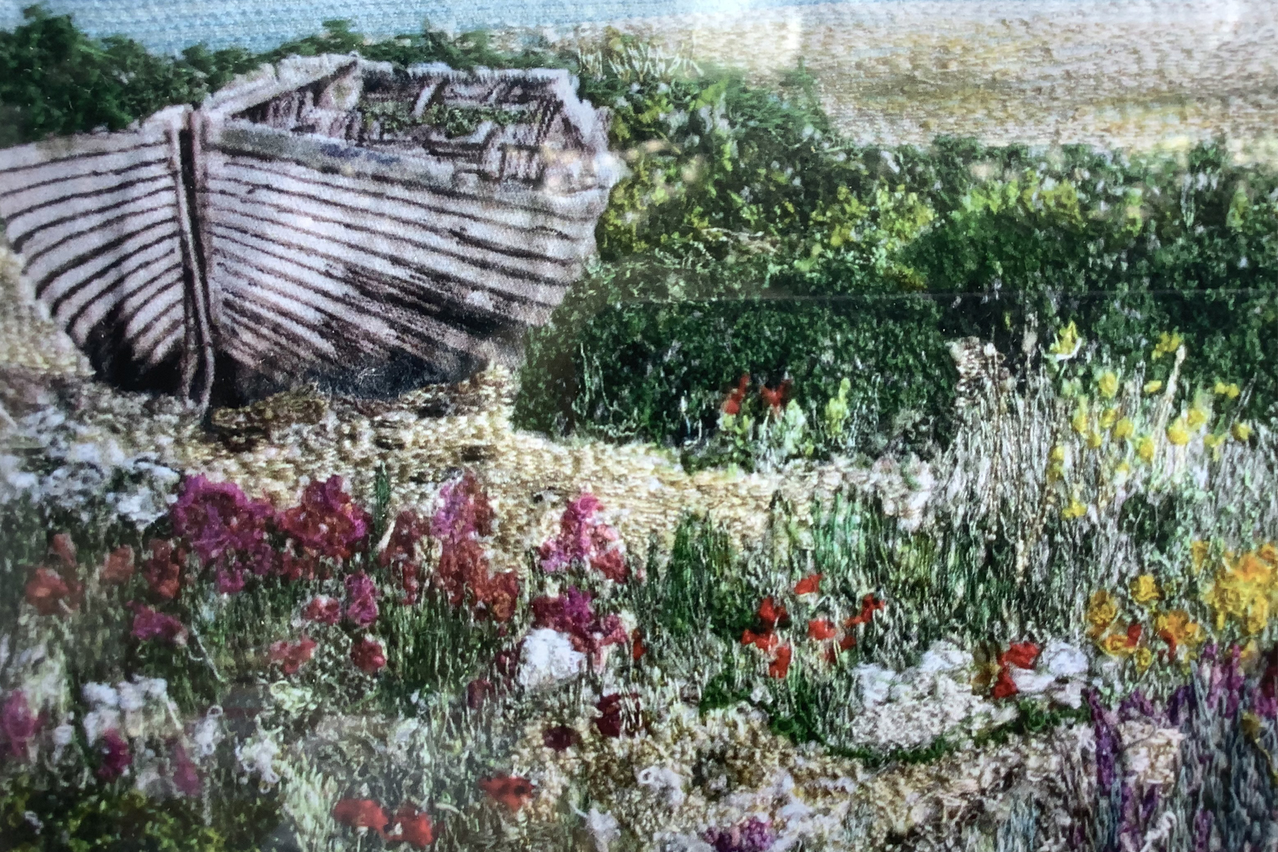 Jean Chisholm - SWSBA